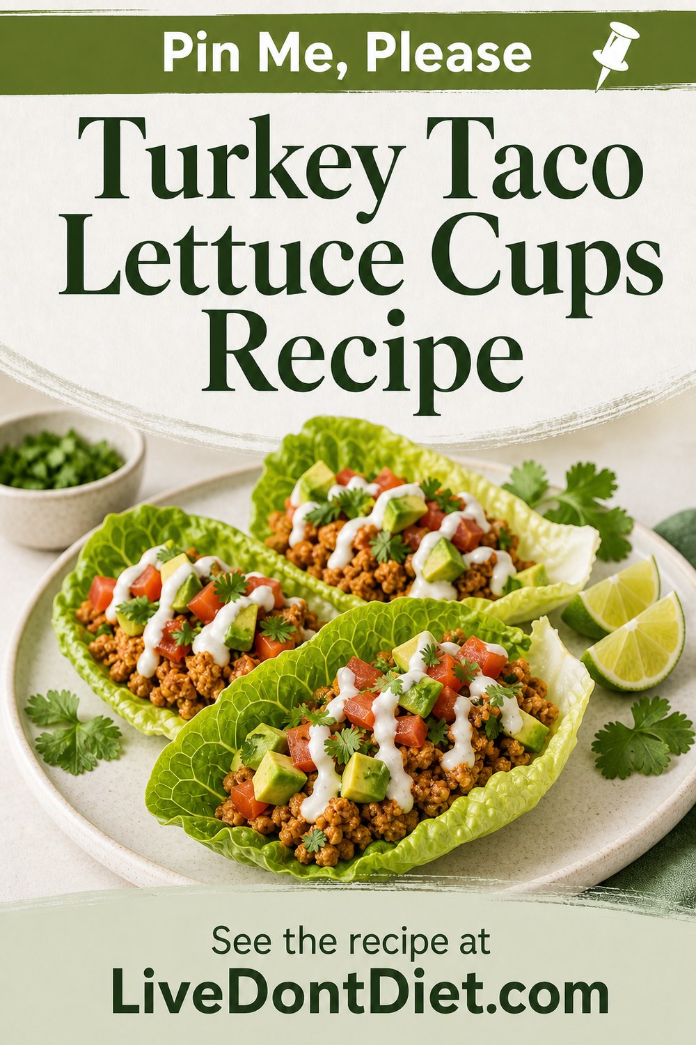 Turkey Taco Lettuce Cups Recipe - Prediabetes Friendly (2026 ...